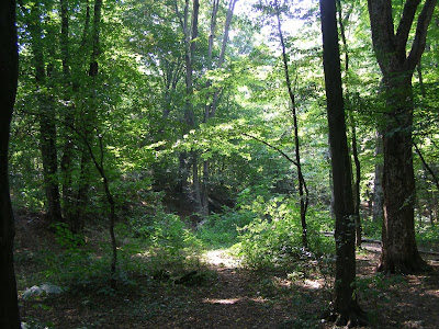 Nicaieri nu-i ca acasa | Cartieru' Minunat