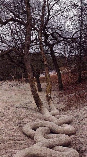 Andy Goldsworthy Trees