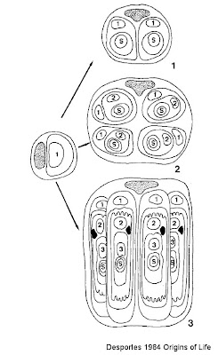 Skeptic Wonder: 2009