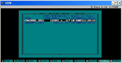 INFORMATION SECURITY, BEYOND THE LIMIT: Reverse Engineering Basics ...