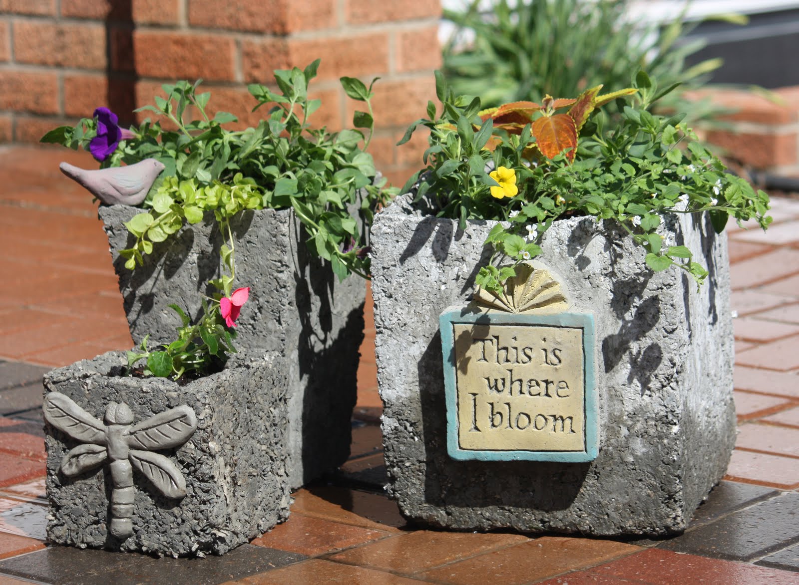 From the Summer's Garden: 2010 HYPERTUFA STUDIOS