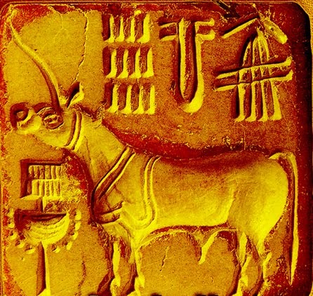 Harappan Civilization Domestication Of Animals