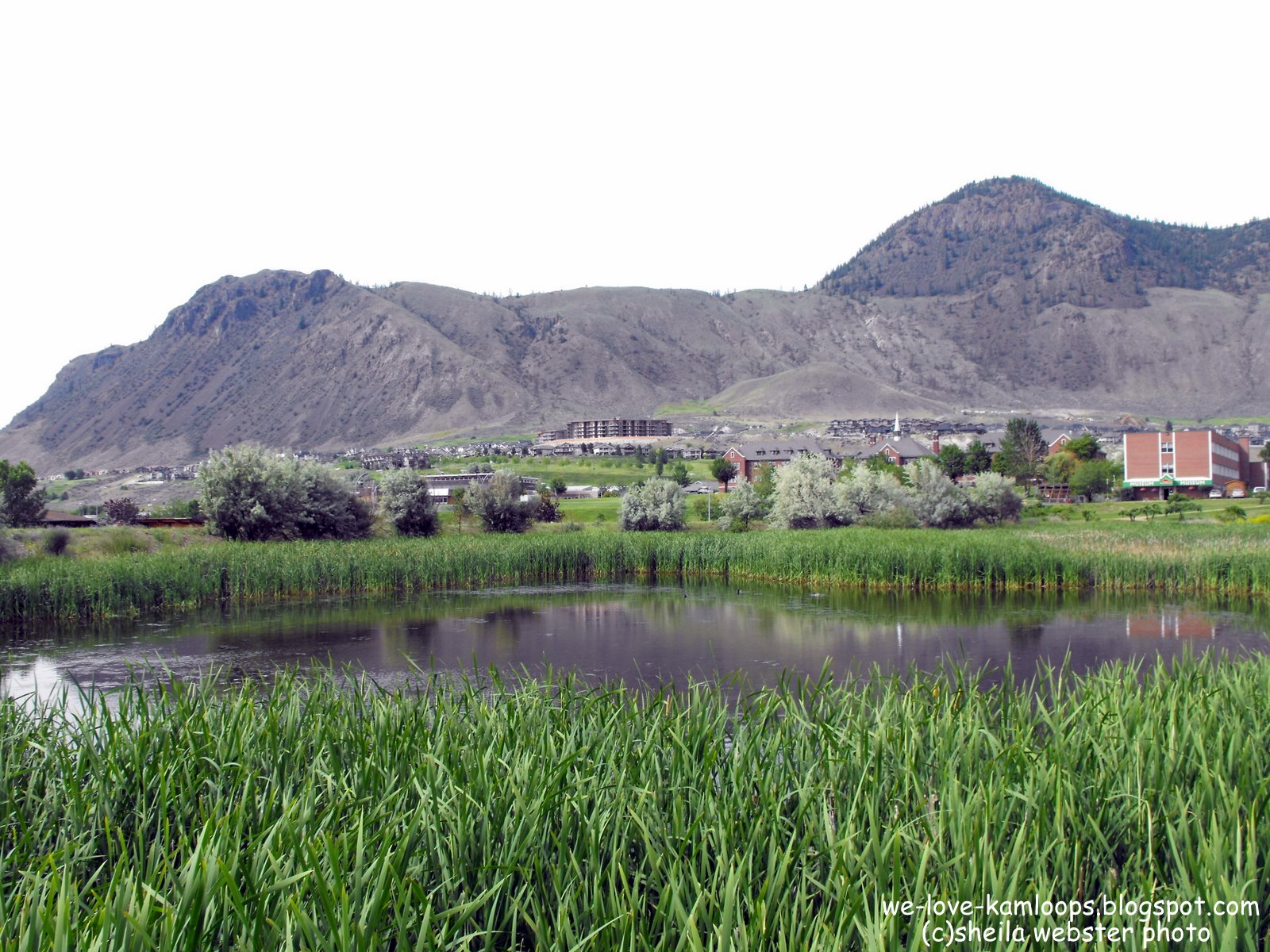 we-love-kamloops: Kamloops ~ Secwepemc Museum & Heritage Park