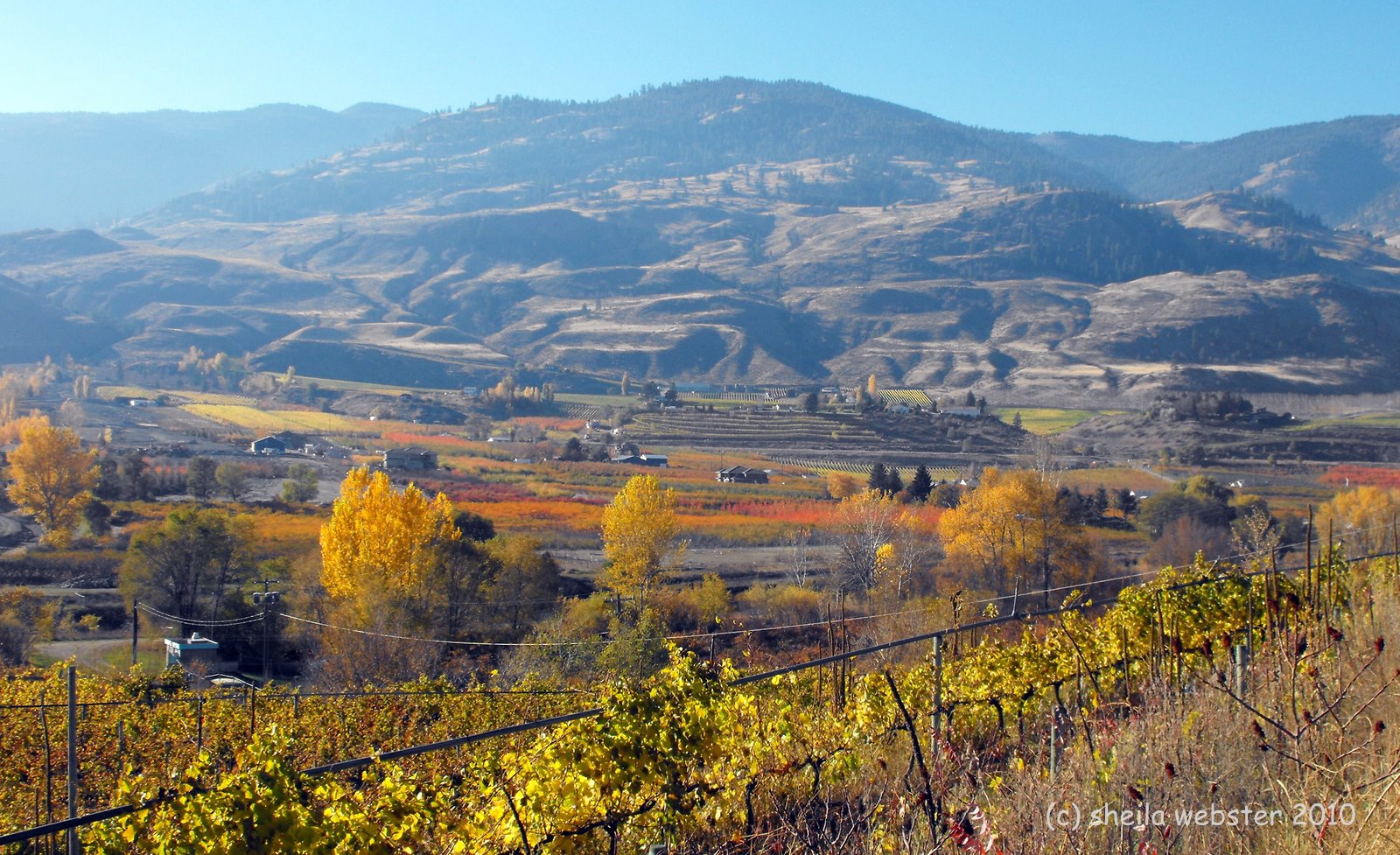 We Love RV'ing: Oliver, BC ~ Okanagan Valley ~ Orchards ~ Autumn Colors