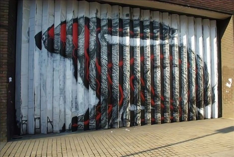 Fun Panorama: Graffiti with animals