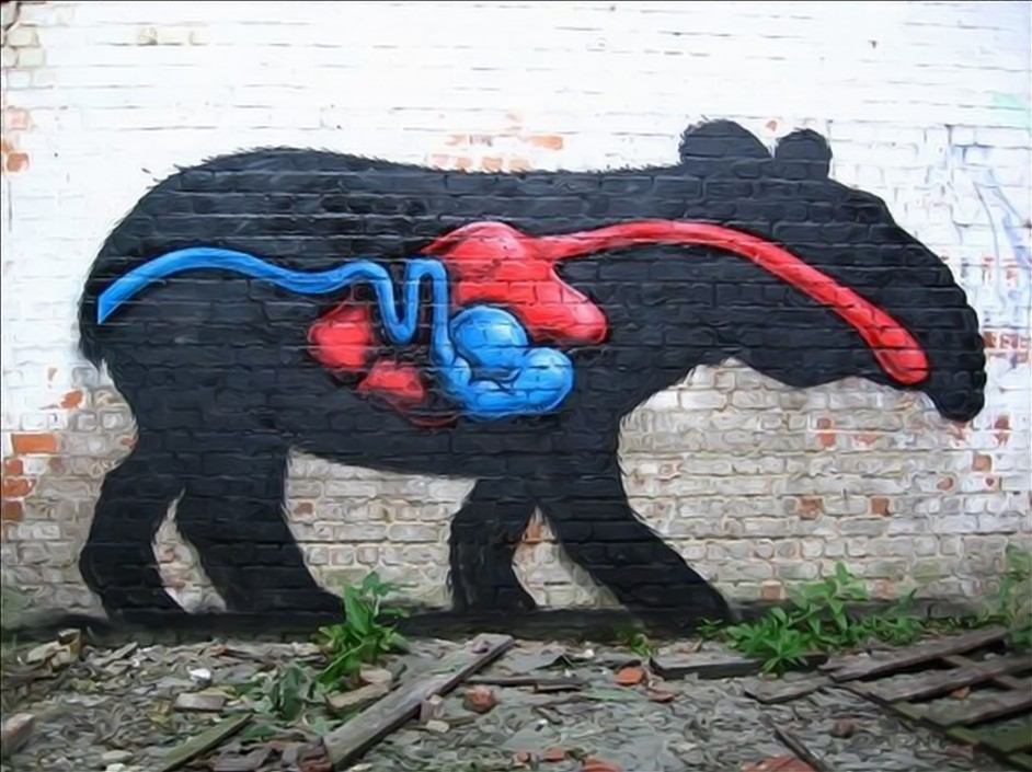 Fun Panorama: Graffiti with animals