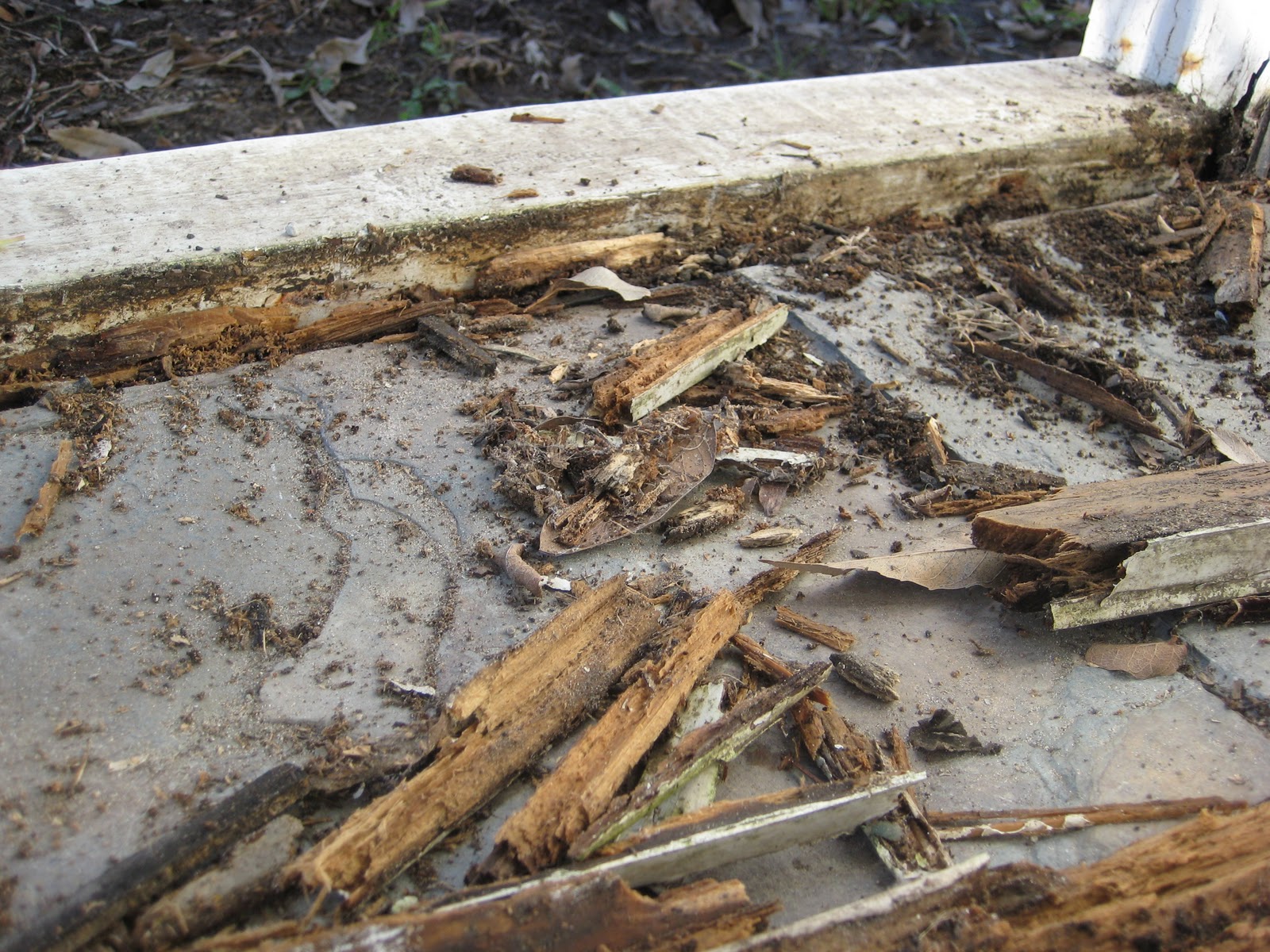 Making Messes: Cleaning out the old (rotted stuff)