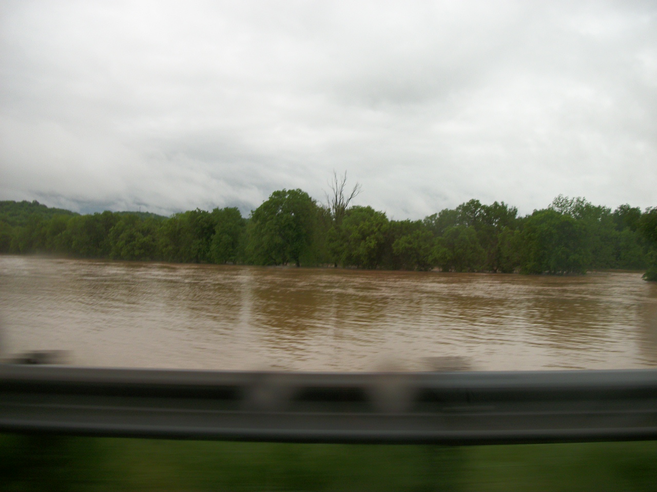 The Up Side of Down Syndrome