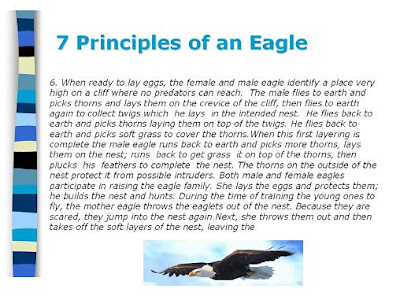 PROUD PLANTERS: 7 Principles Of Eagle