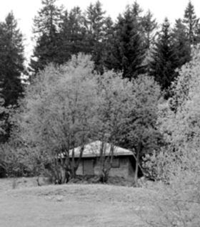 Skinner's Room: Heidegger's Hut
