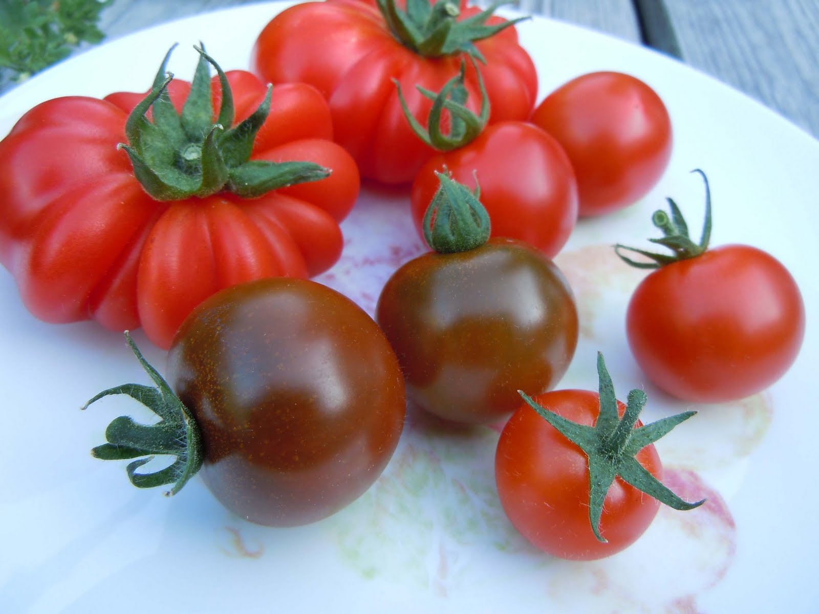 Tomater, tomater, tomater....