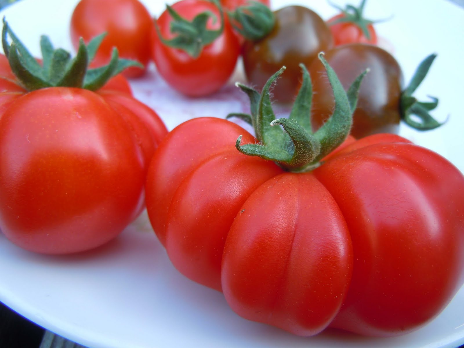 Tomater, tomater, tomater....