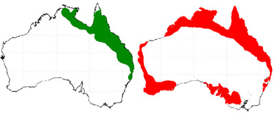 SciNet News: Cane toads invade new Australian terrain