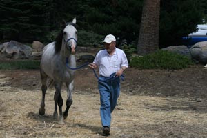 The Equestrian Vagabond: 2010 Tevis: Mark the Trail and They Will Come