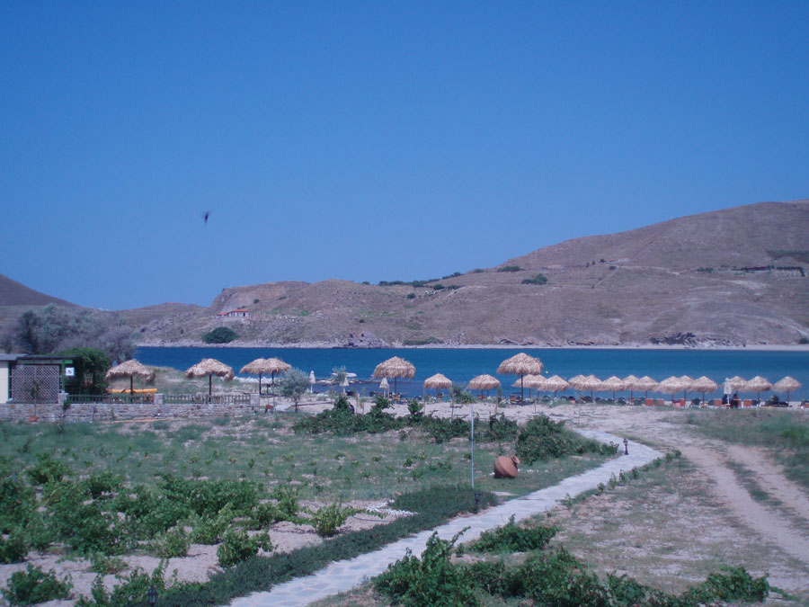 Μετά το κύμα το άρωμα...: ΛΗΜΝΟΣ - ΘΑΝΟΣ