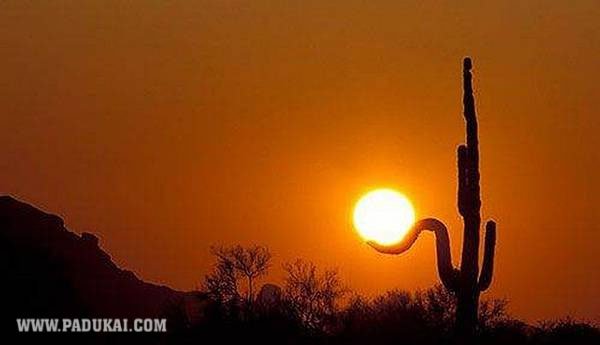 Win Min: Amazing Sun in Hand Beautiful Photography, Sun in Hand ...