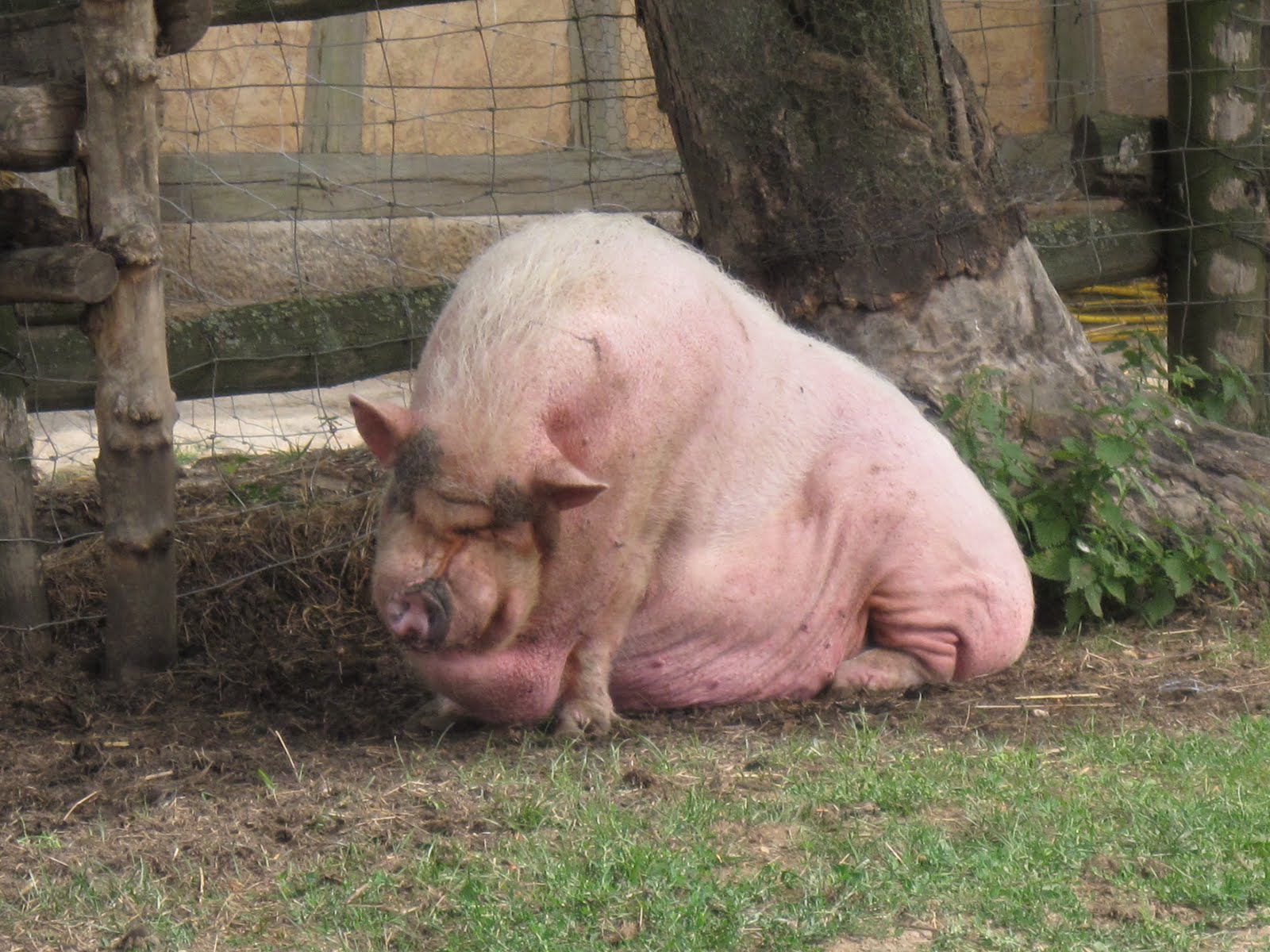 Follow Me Overseas: A Paris...