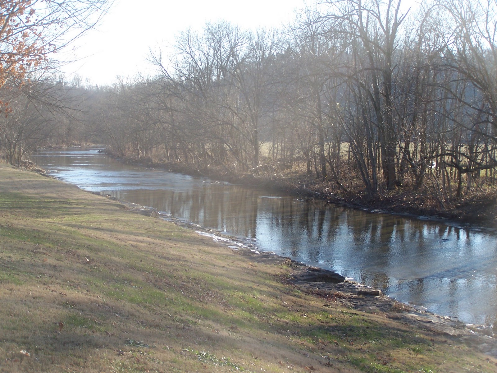 My Kentucky Heaven: The Dream Home of all Corgis everywhere: Marrowbone, KY