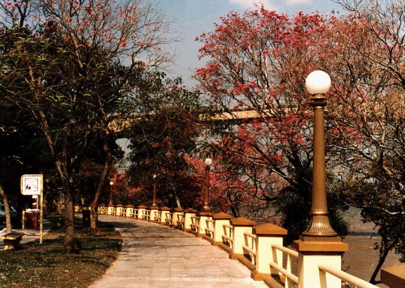 “Corrientes” urbano: COSTANERA SUR: