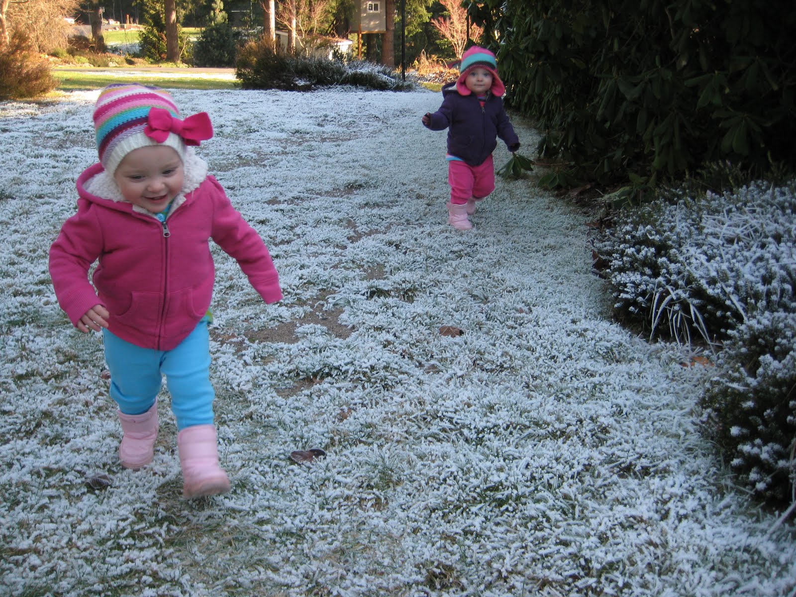 Grandma Grandma : A frosty walk