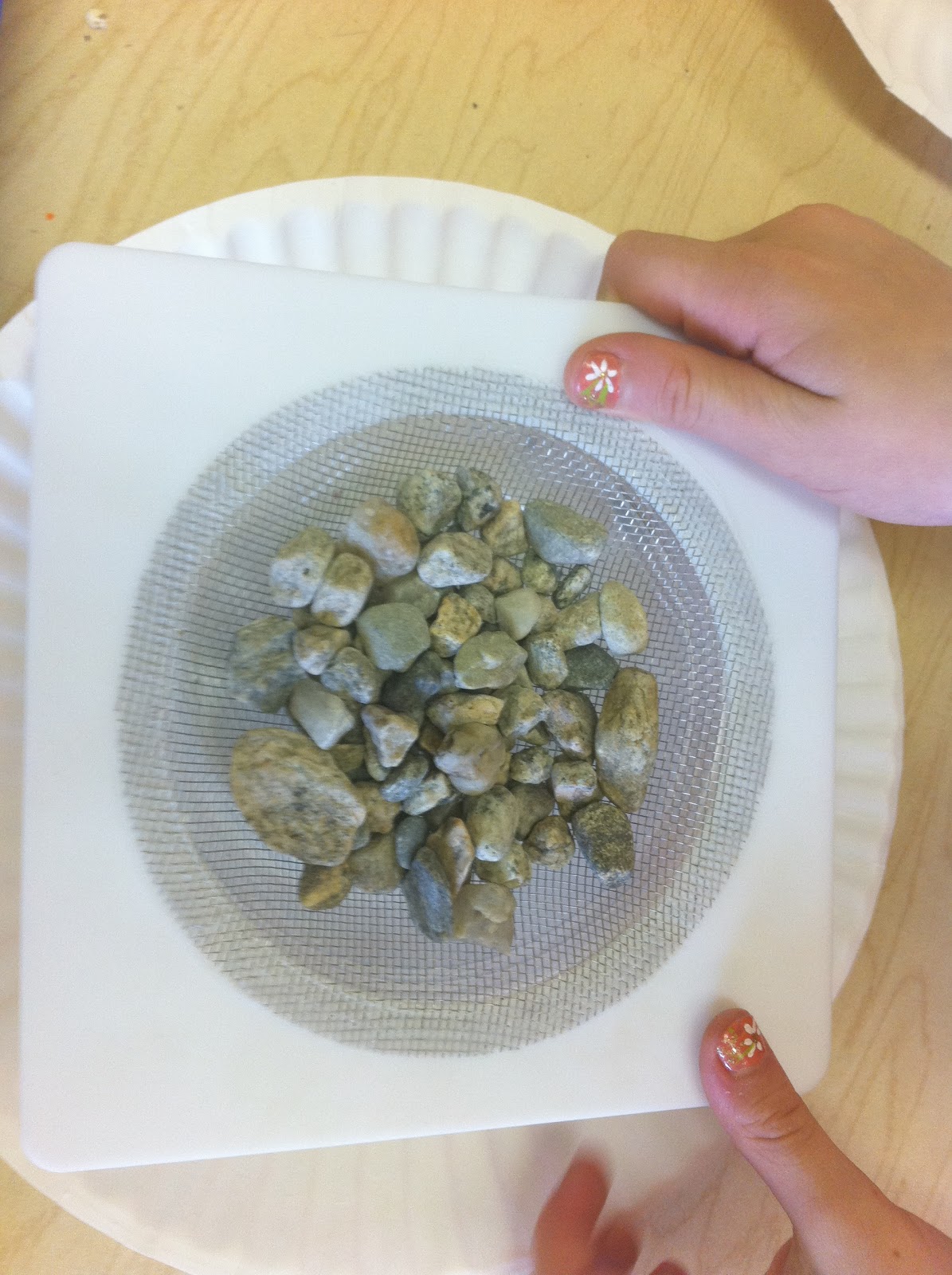 PS 58 Scientists: Sorting River Rocks