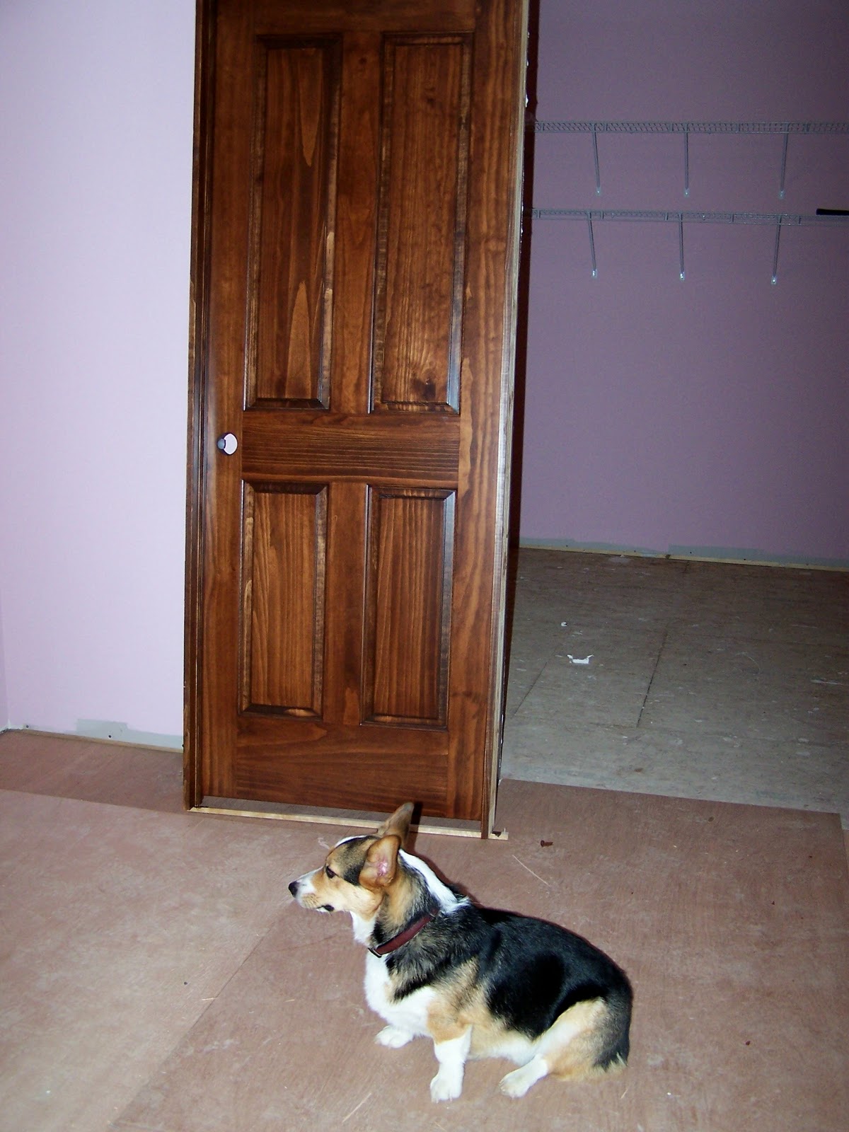 The Crouse House: Snow, flooring, snow, interior doors, snow, snow, snow...