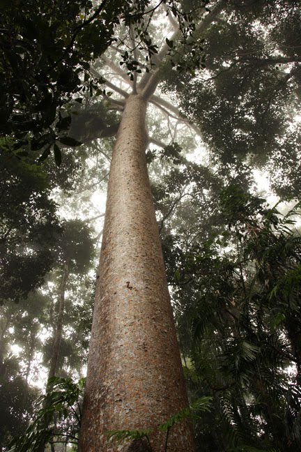 Photography by Dana Rasmussen