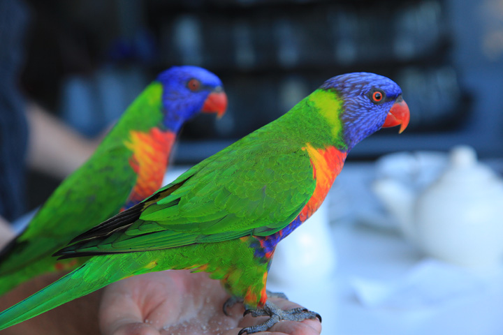 Photography by Dana Rasmussen