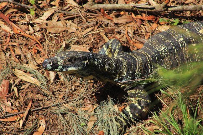 Photography by Dana Rasmussen