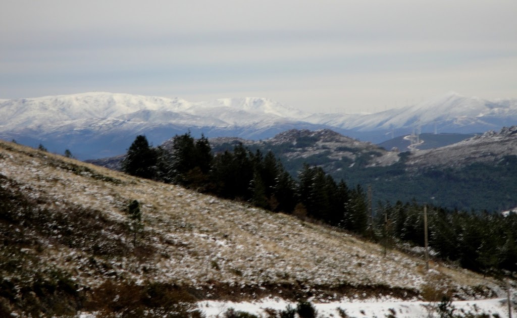 Meio Século de Aprendizagens : NEVE NA SERRA DA LOUSÃ