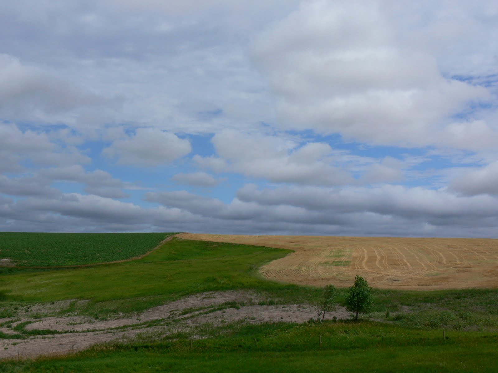 21st Century Odyssey: Fort Pierre National Grasslands.