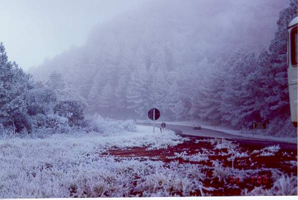 Fenomenos Naturais: Geadas