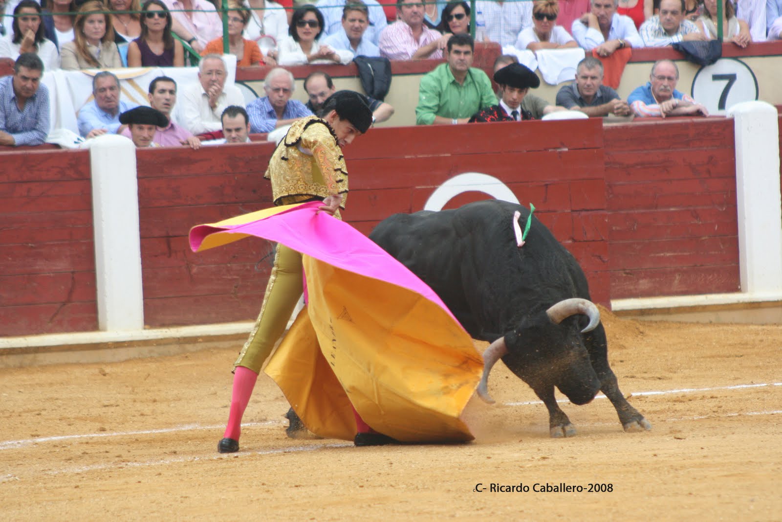 Ricardo Caballero: Toros - Capote 2008