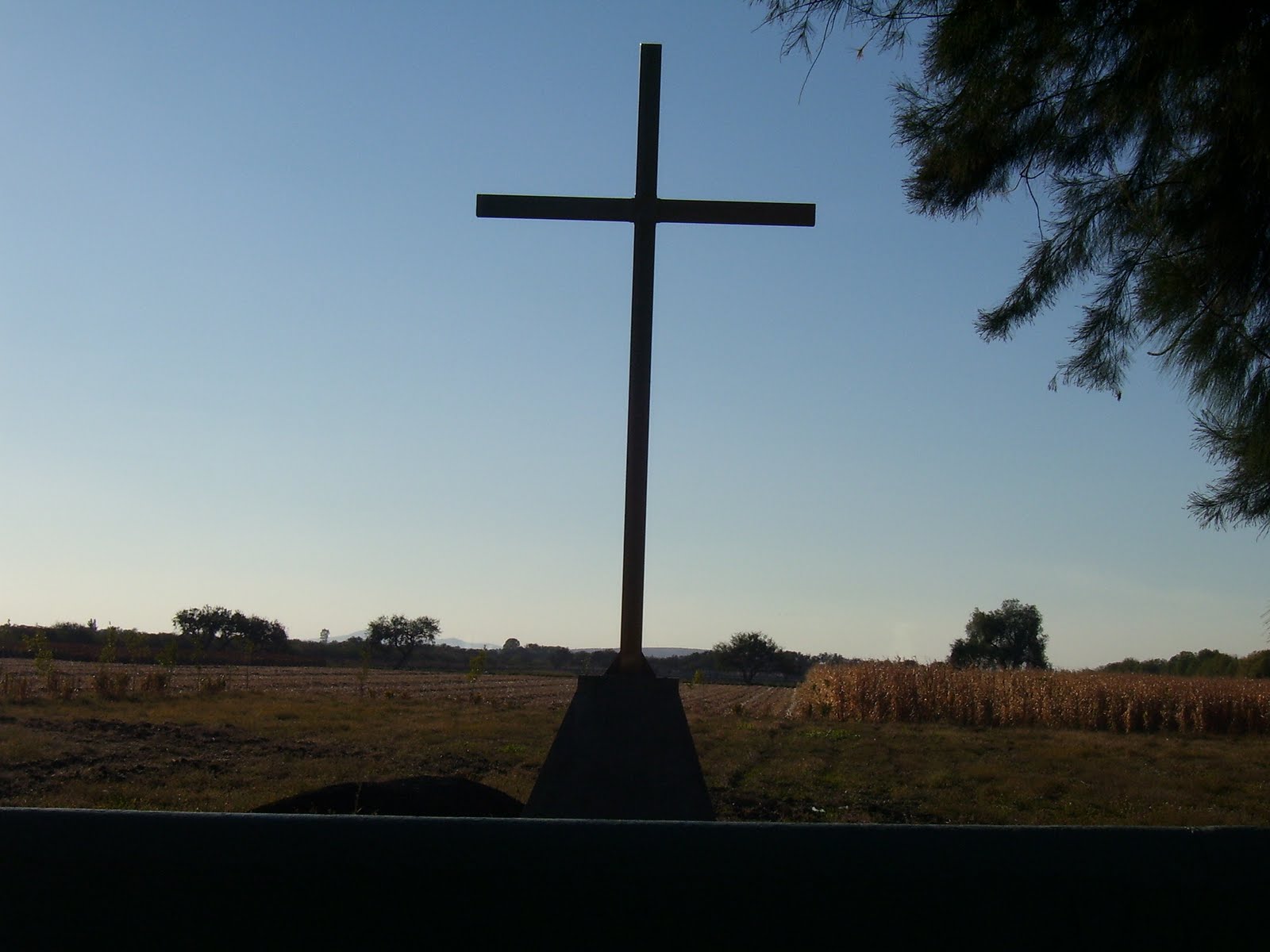 Causas del movimiento cristiano *: IMAGENES DEL PADRE NIEVES...