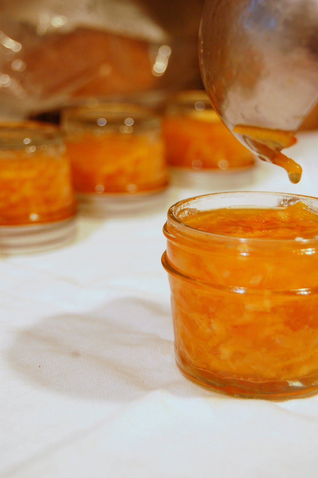 ZZ Eats: Satsuma Marmalade with Vanilla Bean