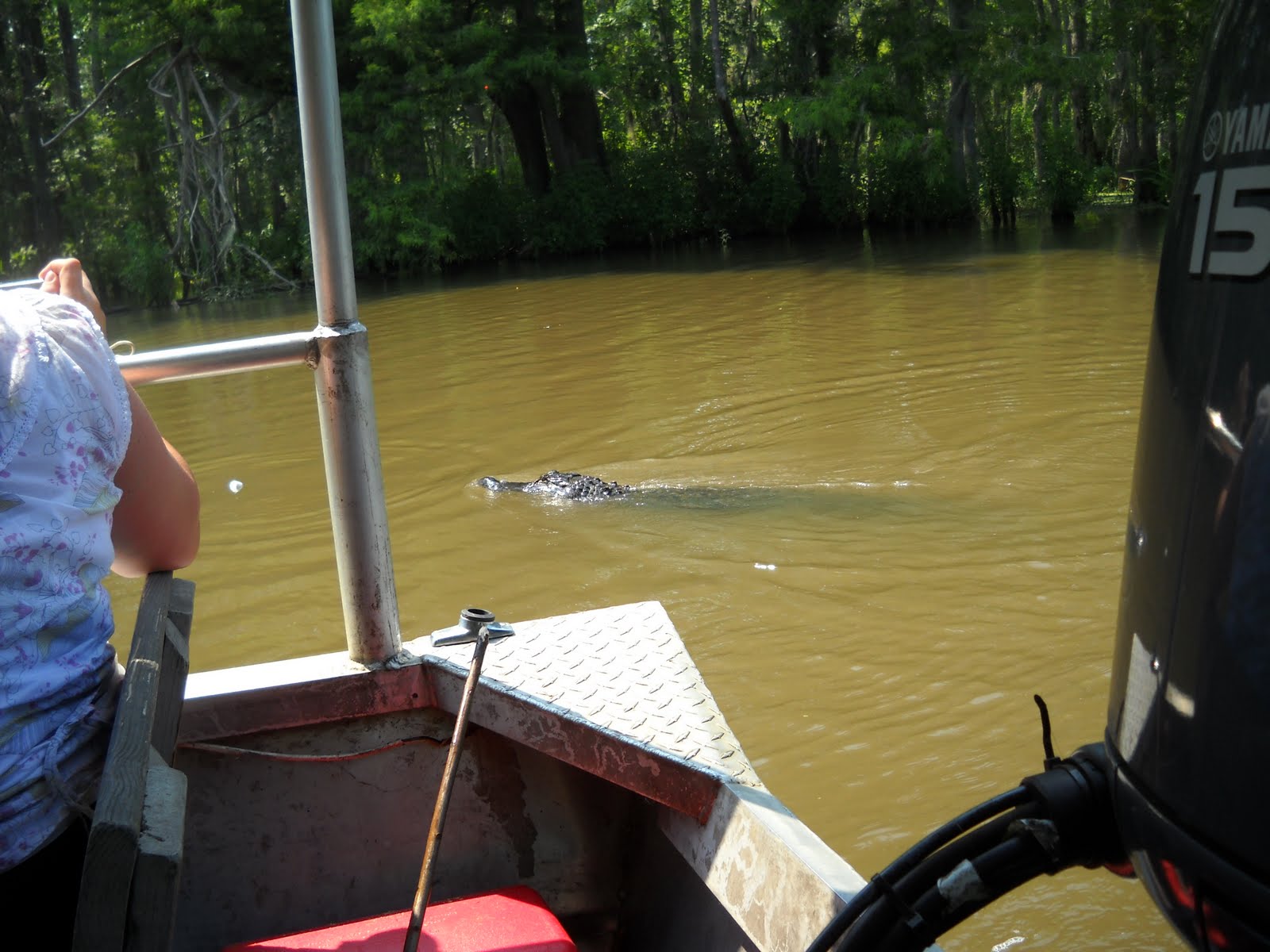 simply iowa: The Swamp Tour....