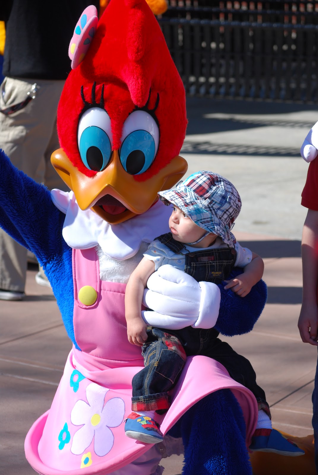 The Blake-Hames Family: Universal Studios Hollywood