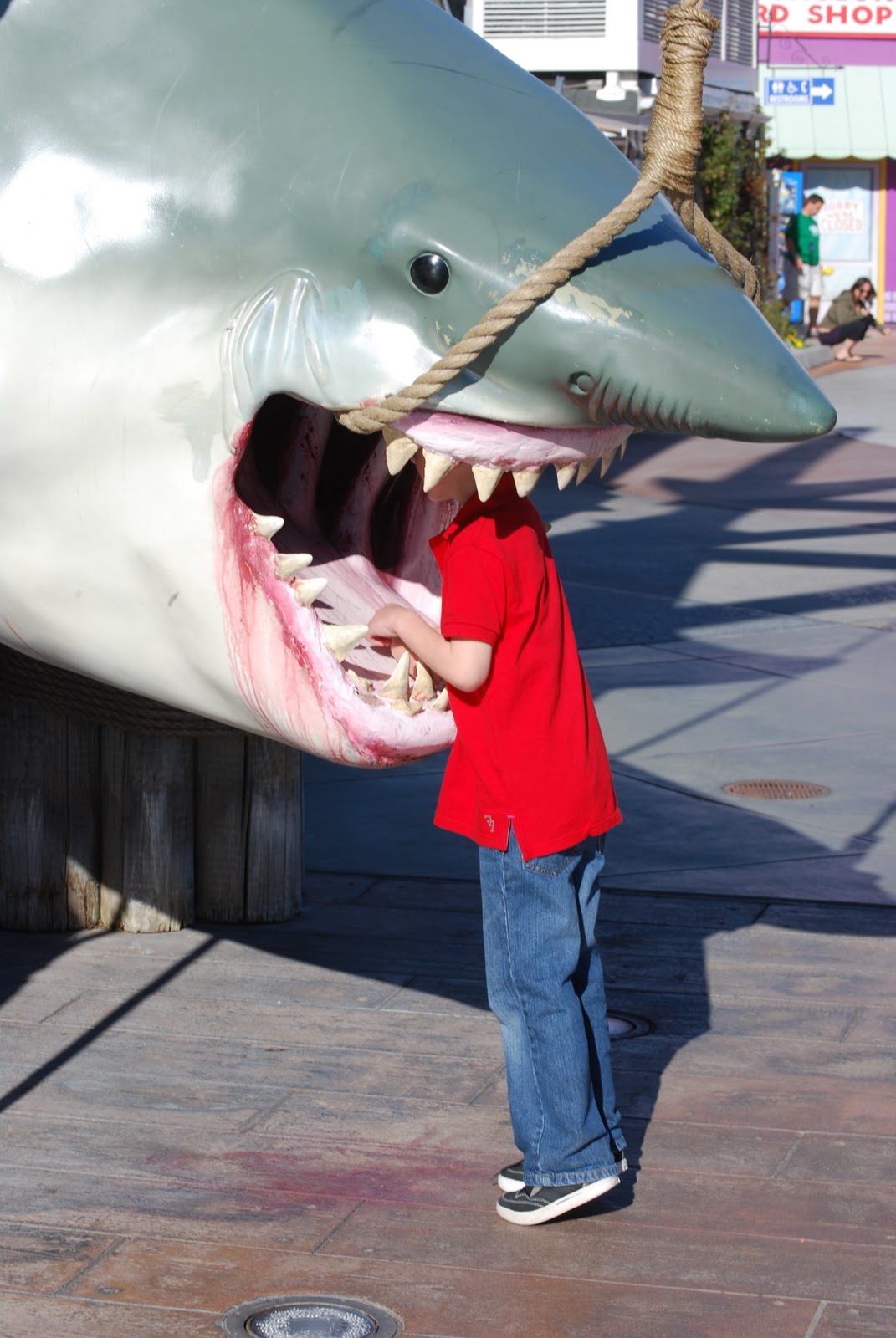 The Blake-Hames Family: Universal Studios Hollywood