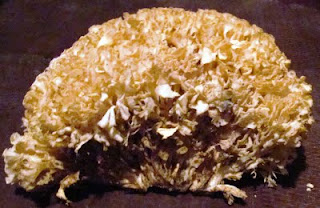 Gastromimix: Sparassis crispa - Greixa reina