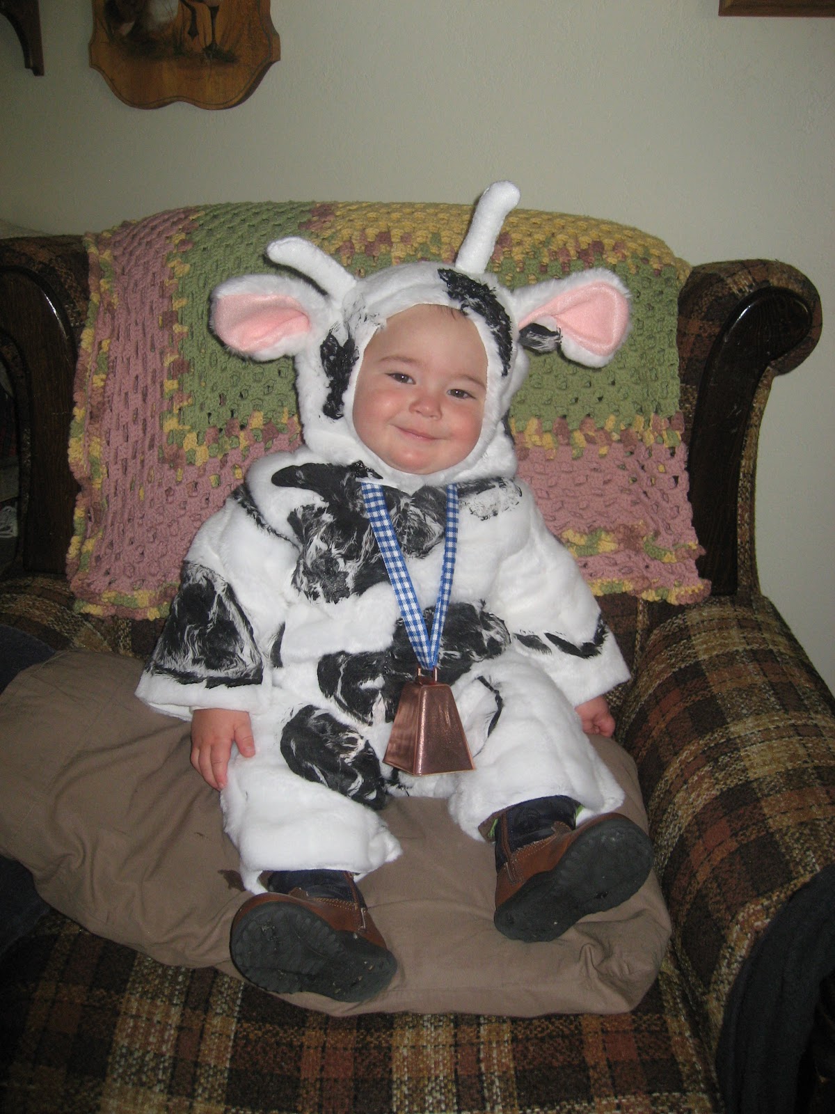 Girl in Air BLOG: Holy COW! Let's make a Halloween Costume!