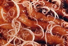 The Biologian: Pig Whipworm Treatment