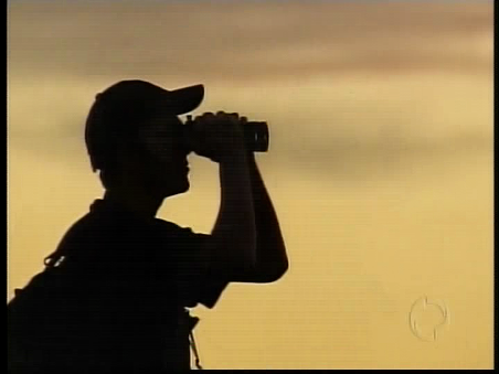 Sobre os Dias: Observador