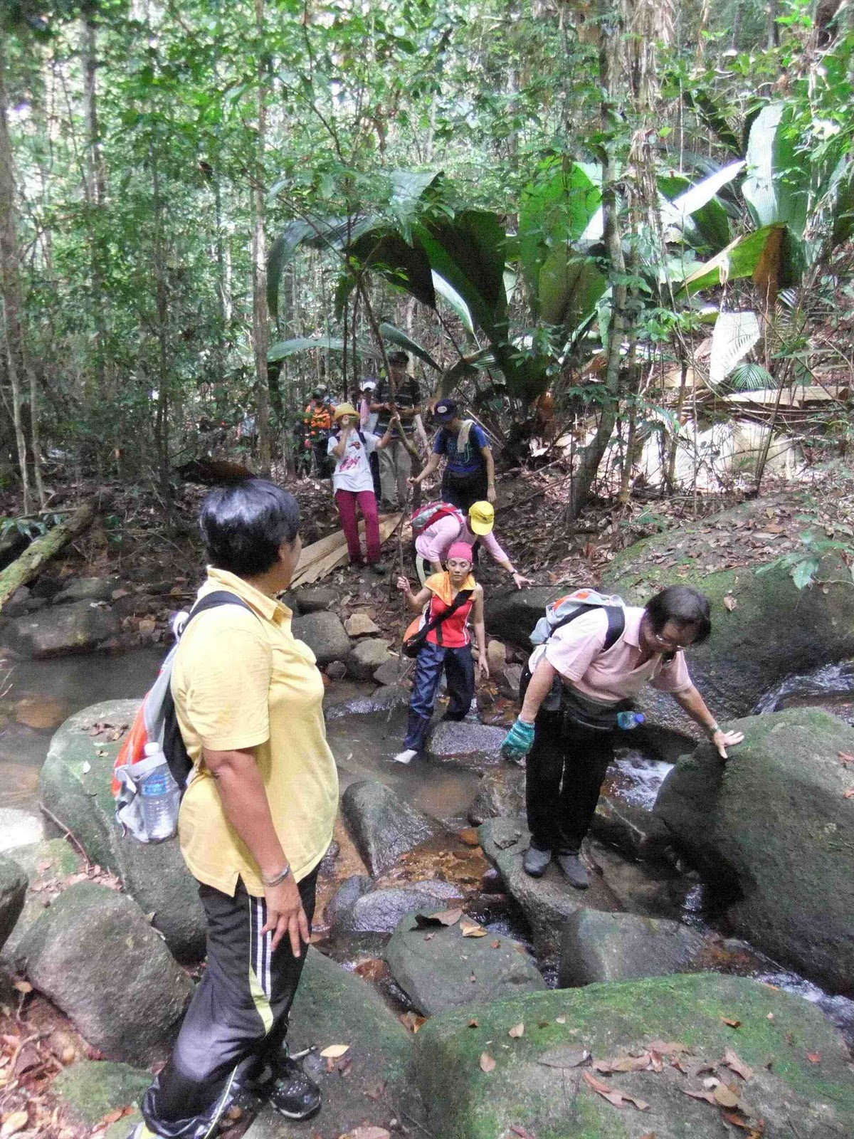 Dr. Mac's Blog: Sg. Tengkil Waterfalls Hike, Saturday 13 Nov. 2010