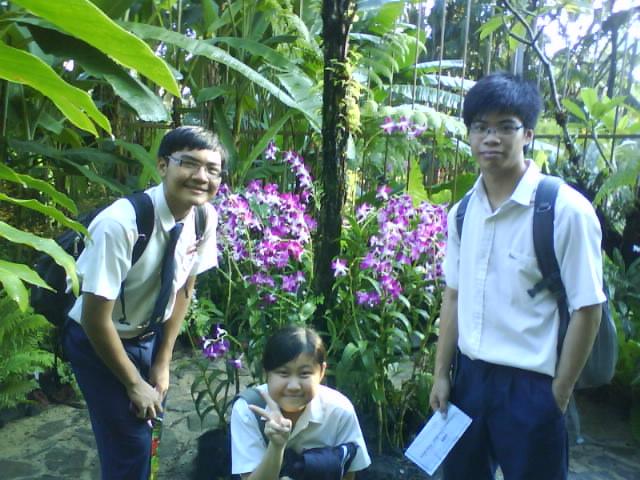 Biology Fantasia: Snails' Sexual affair by [Pearlyn Chua 4e1 /2010]