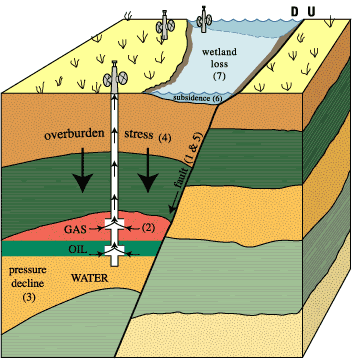 Diagram Of How Oil Was Formed