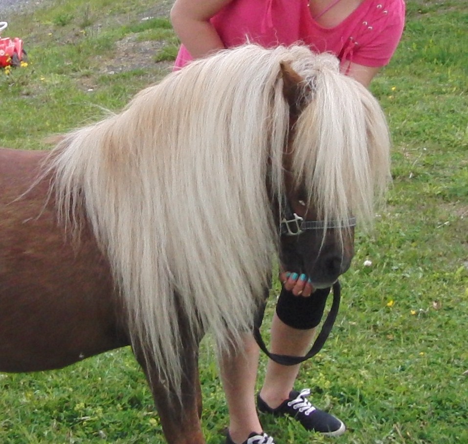 Gormgården: september 2010
