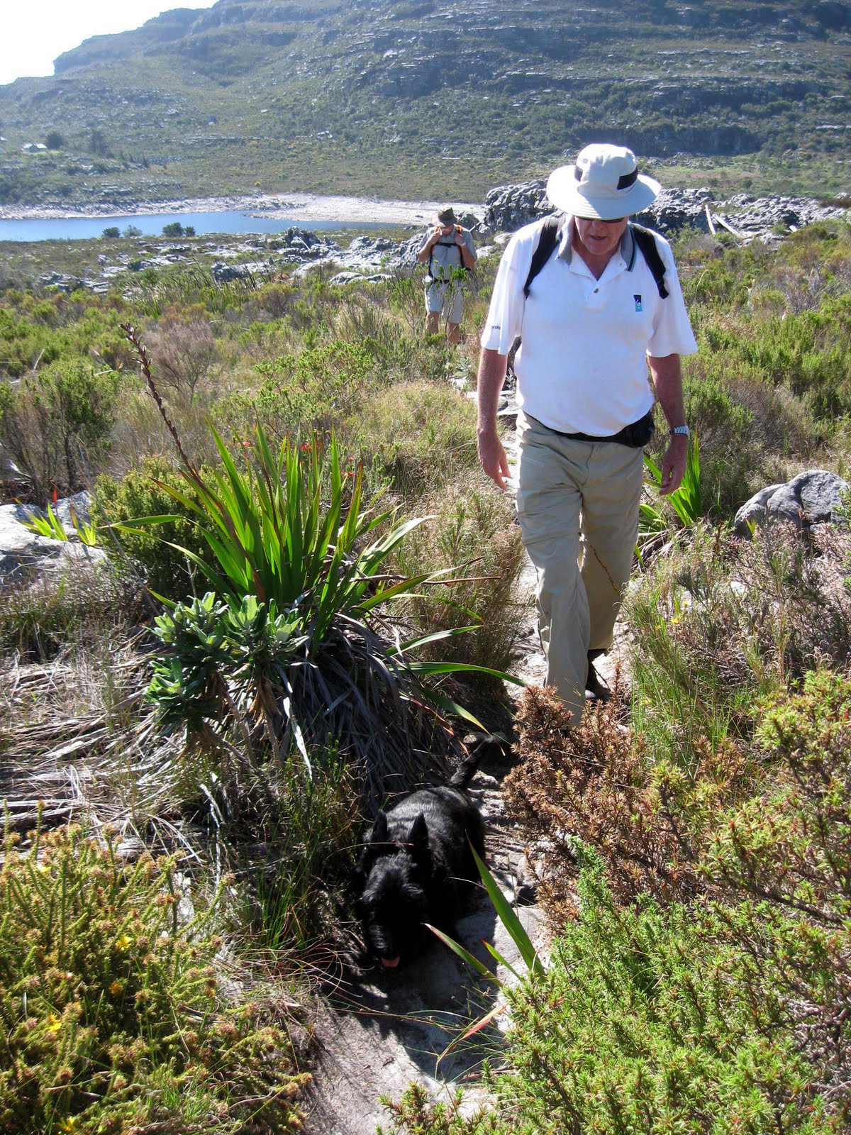 Walkies on Table Mountain: Ash Valley