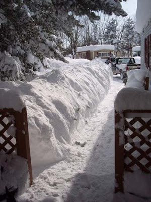Fresh Pics: Heavy Snowfall in Mexico City