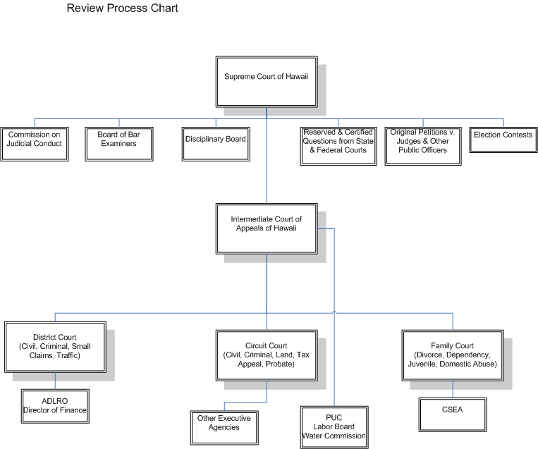 The Pineapple Project: How The Courts Work
