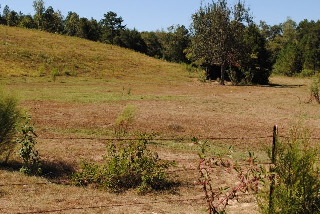 Adventures on Zephyr Hill Farm: Why We Believe in Rotational Grazing